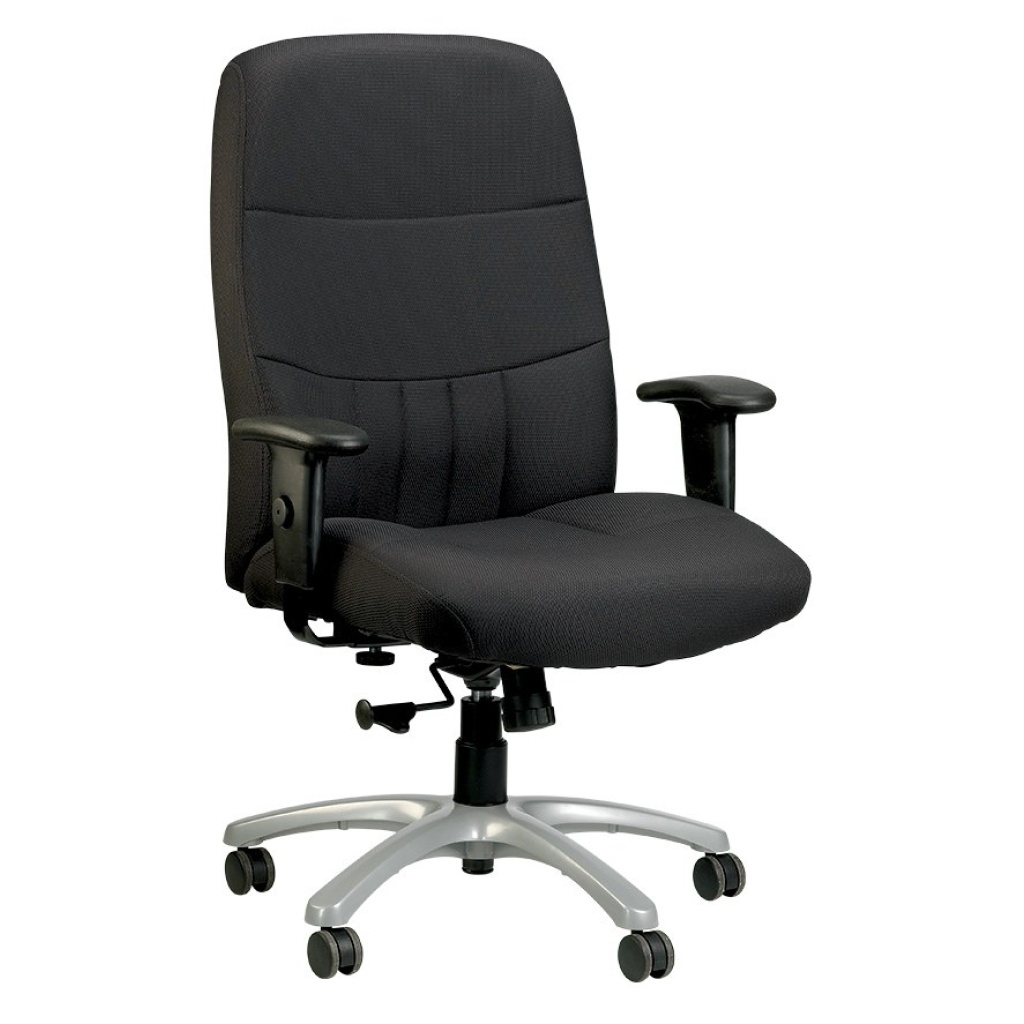 Excelsior 350 Office Chair By Eurotech Seating - Madison Seating